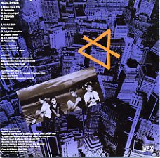 AT FIRST AT LAST-素晴らしき自主制作盤の世界