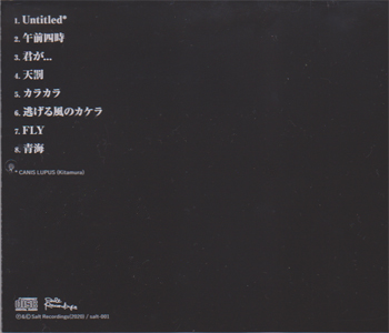 -AT FIRST AT LAST-素晴らしき自主制作盤の世界-