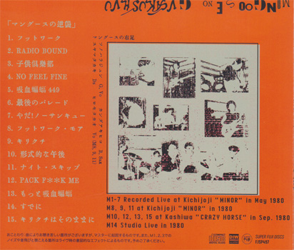 AT FIRST AT LAST-素晴らしき自主制作盤の世界