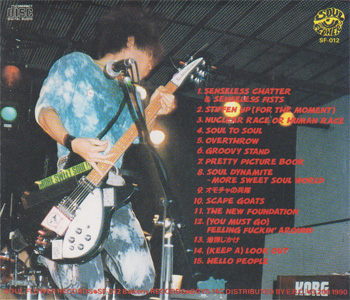 AT FIRST AT LAST-素晴らしき自主制作盤の世界