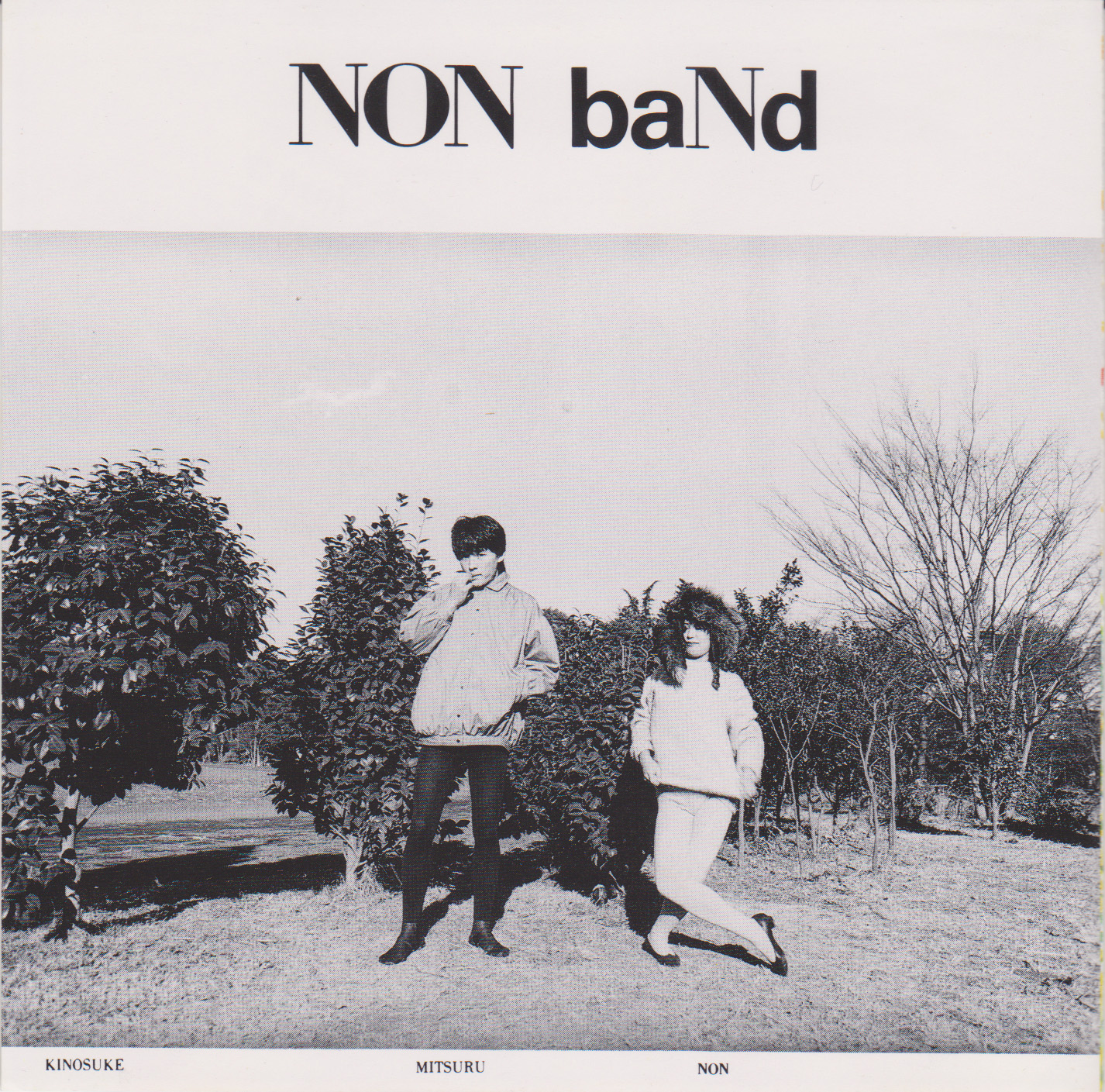 AT FIRST AT LAST-素晴らしき自主制作盤の世界