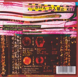 AT FIRST AT LAST-素晴らしき自主制作盤の世界